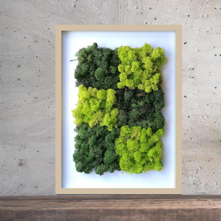 Obraz z Mchu. Mech dekoracyjny w ramie na ścianie | Pomysły na prezent ...